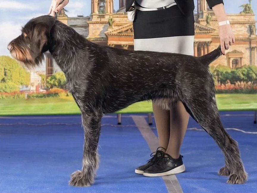 Открыт для вязки