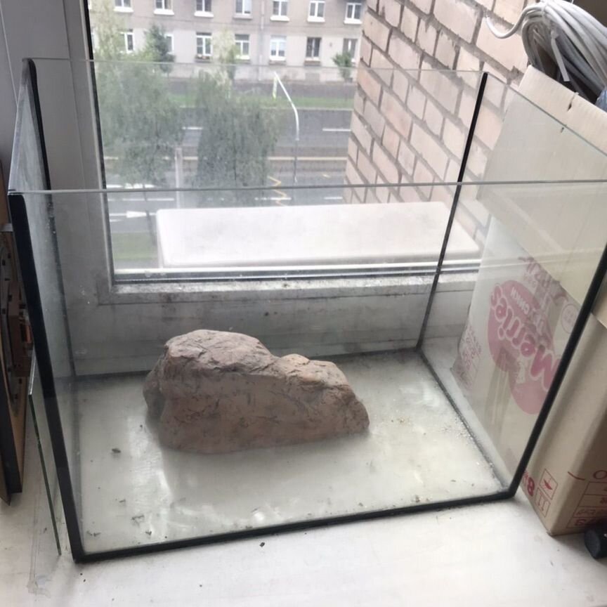 Аквариум
