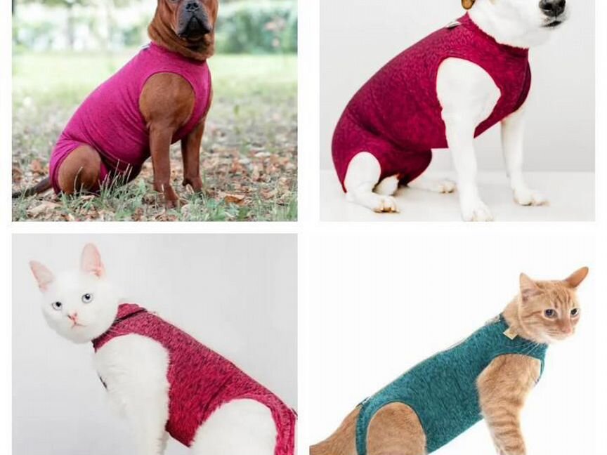 Новые попоны послеоперационные для животных