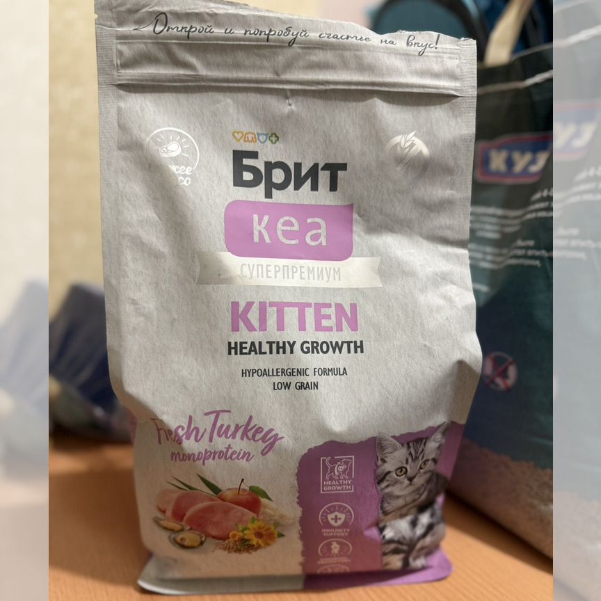 Корм для котят brit care