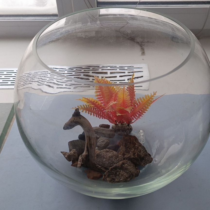 Аквариум круглый 5 литров