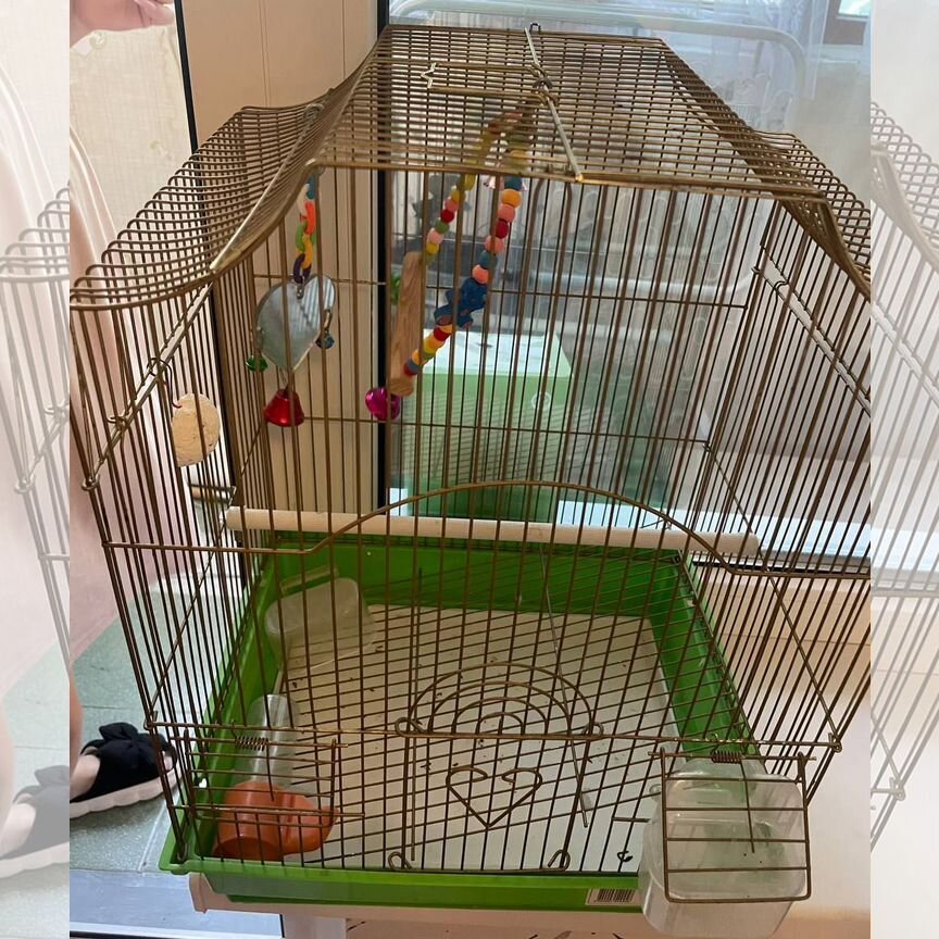 Клетка для попугая бу
