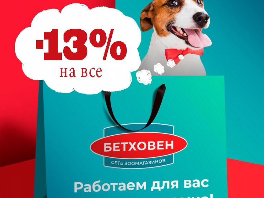 Скидка по промокоду на товары в Бетховен -15