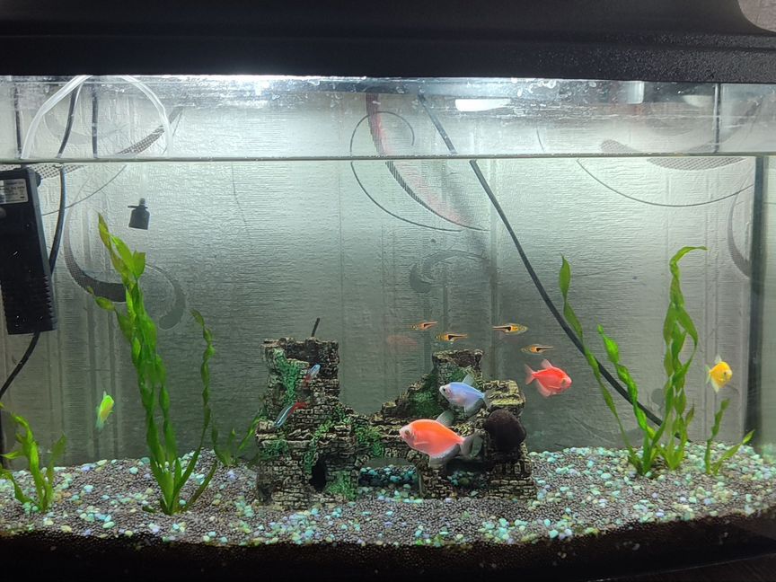 Аквариум телевизор 45 литров