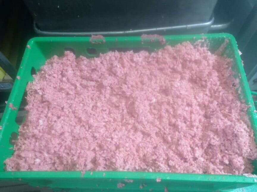 Костный остаток монолит заморозка