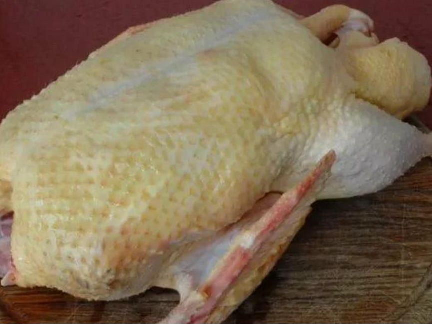 Гусь утка тушки