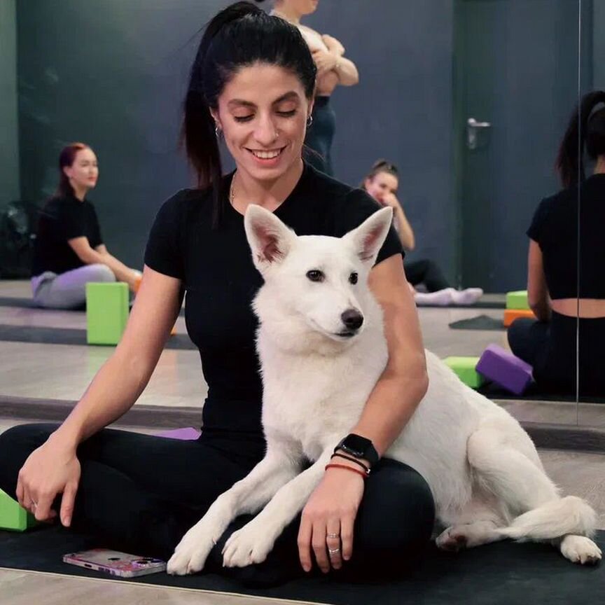 Щенок Пират в добрые руки