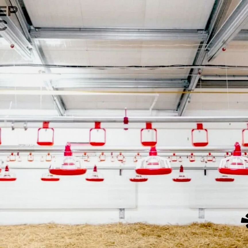 Ниппельное поение