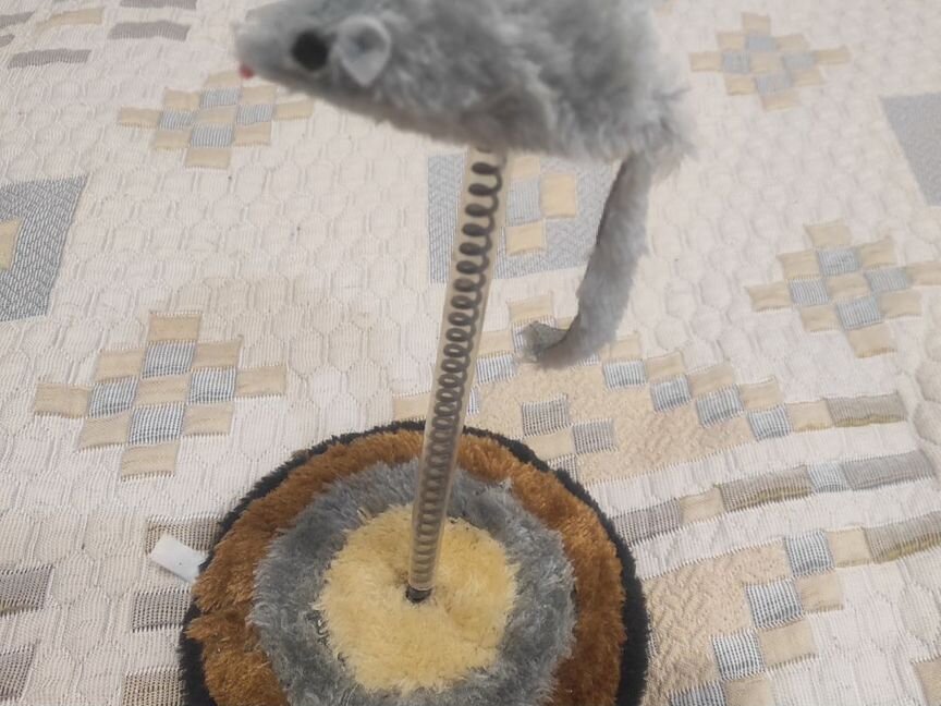 Игрушки для кошки