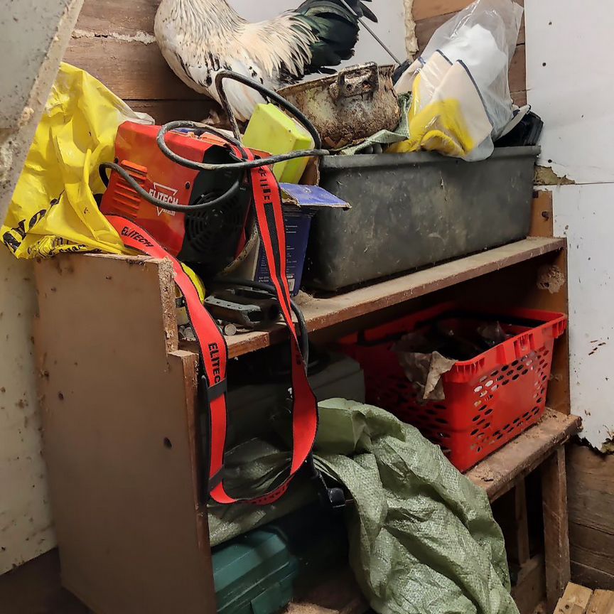 Декоративный петух