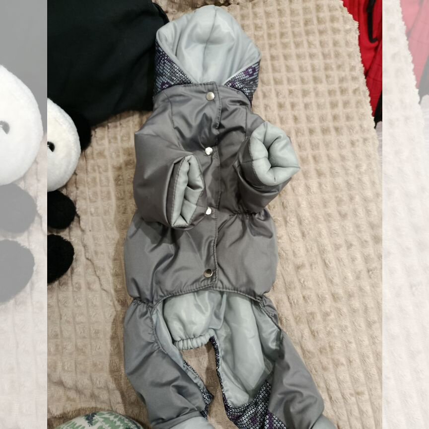 Одежда для маленьких собак s