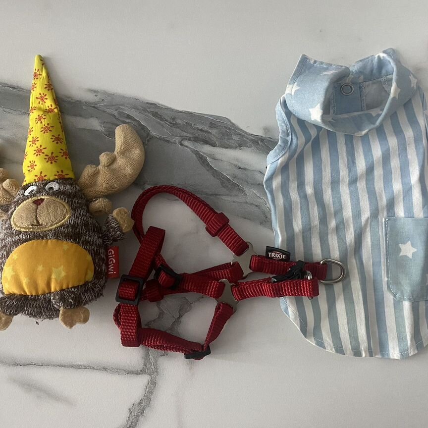 Набор для щенка