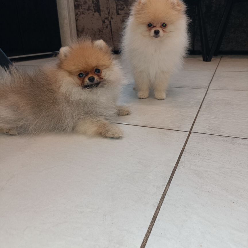 Красатульки