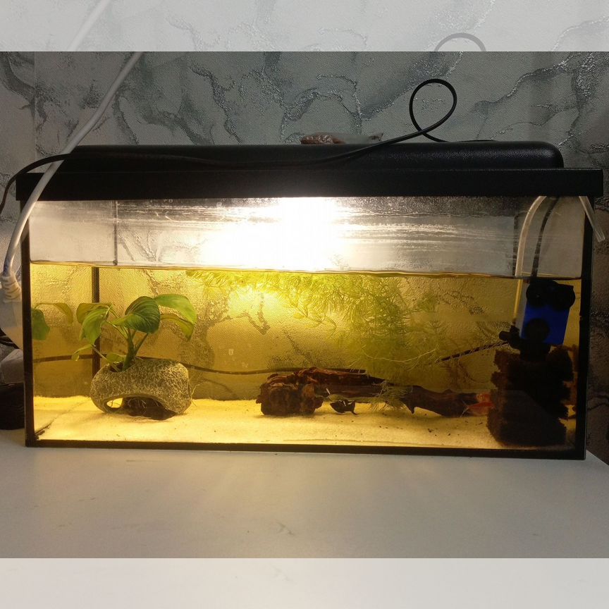 Аквариум с рыбками