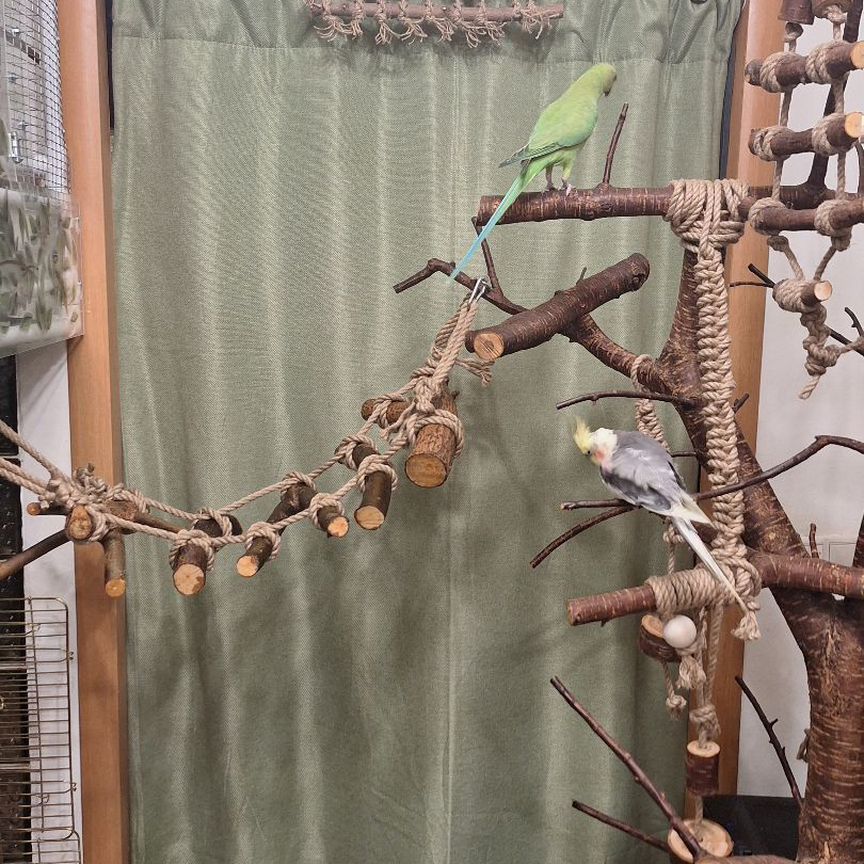Игрушка, лесенка подвесная для крупных попугаев