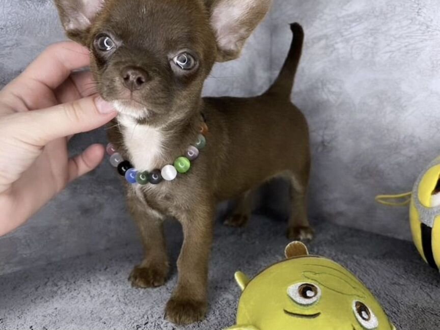 Кукольный мини малыш