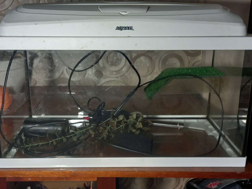 Аквариум