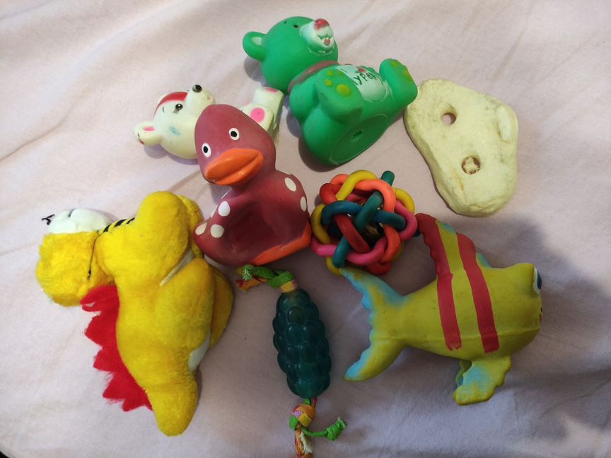 Игрушки для собак