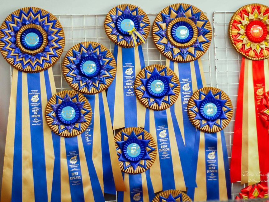 Наградные розетки для выставок г. Омск