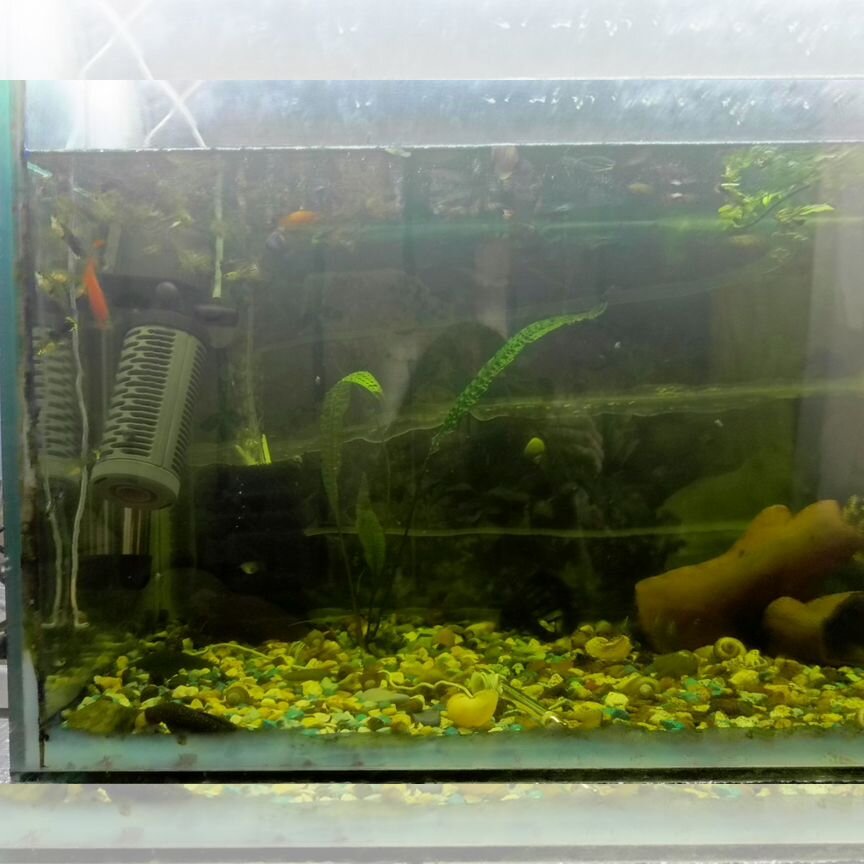 Аквариум с рыбками.100/50/50