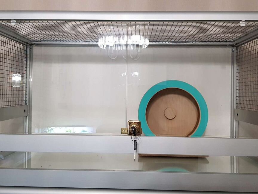 Витрина клетка