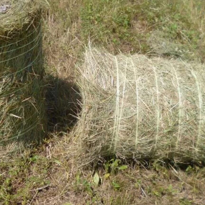 Сено в тюках
