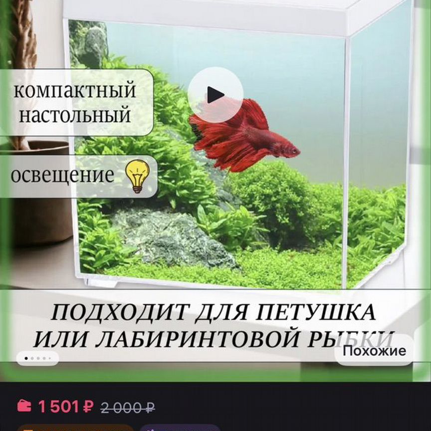 Аквариум