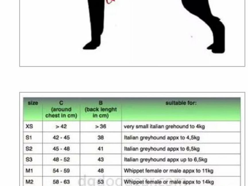 Одежда DG для собак уиппетов, борзых