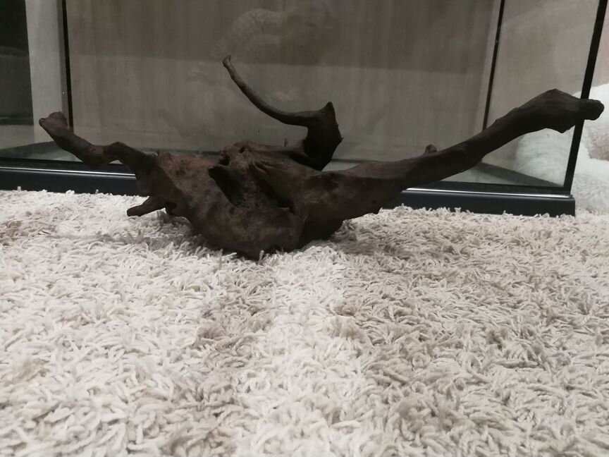 Коряга в аквариум