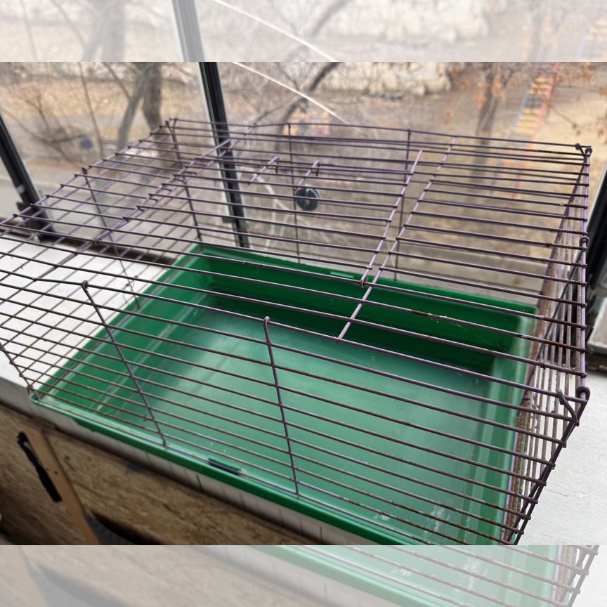 Клетка 58*38*33