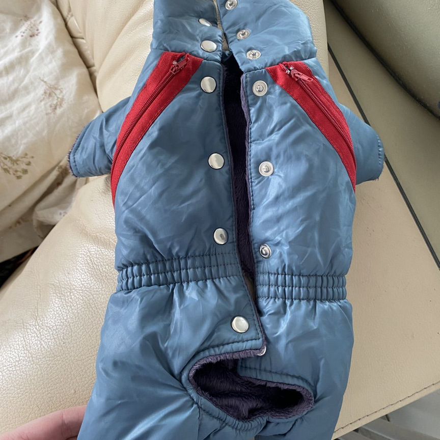 Одежда для маленькой собачки