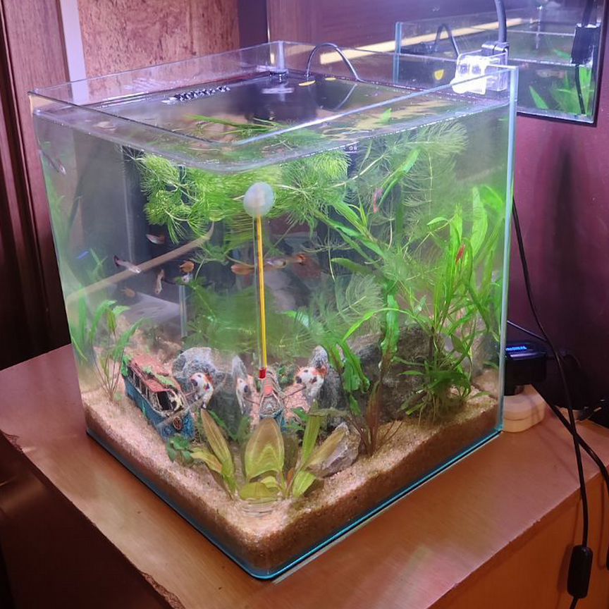 Аквариум dennerle nanocube
