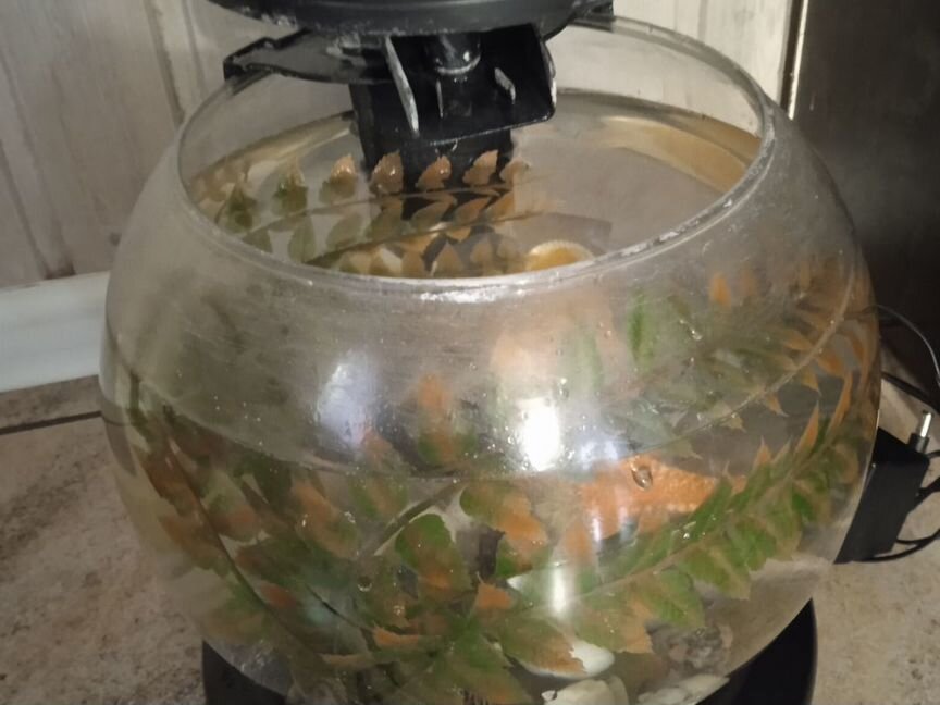 Аквариум настольный