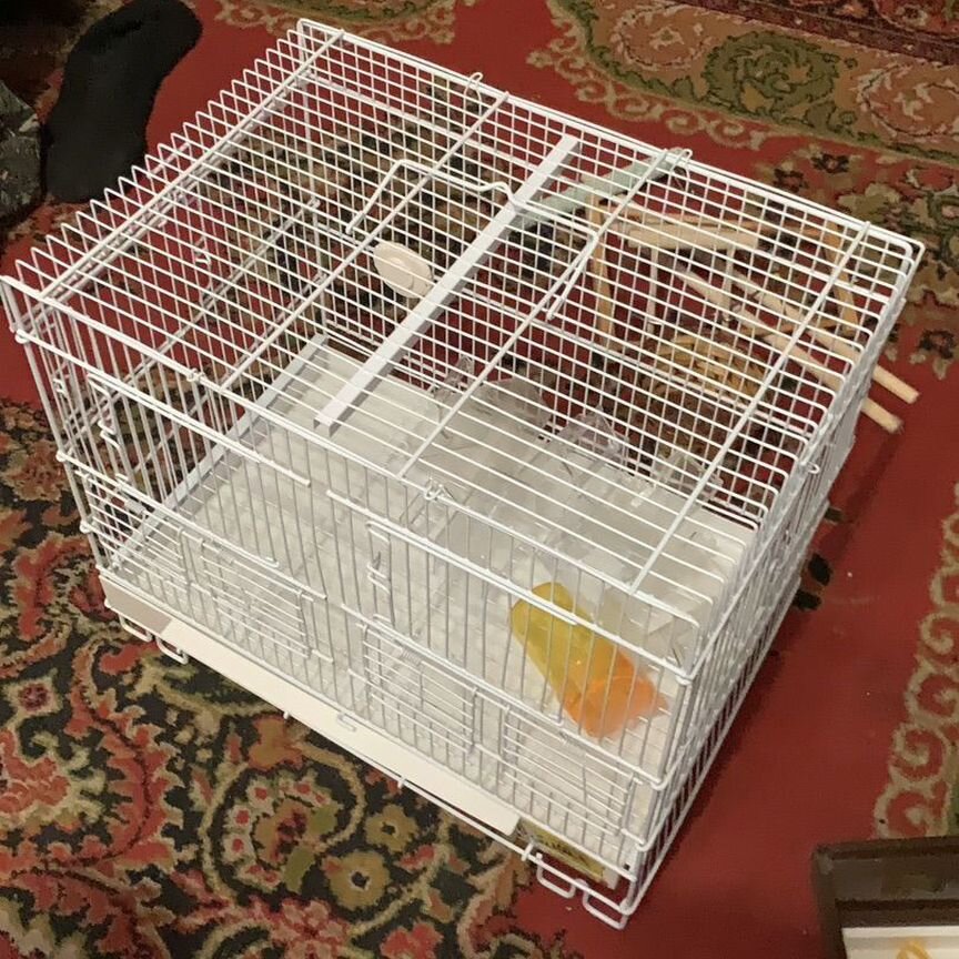 Клетка для попугая бу