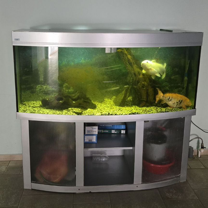 Аквариум с тумбой 250 литров с рыбками