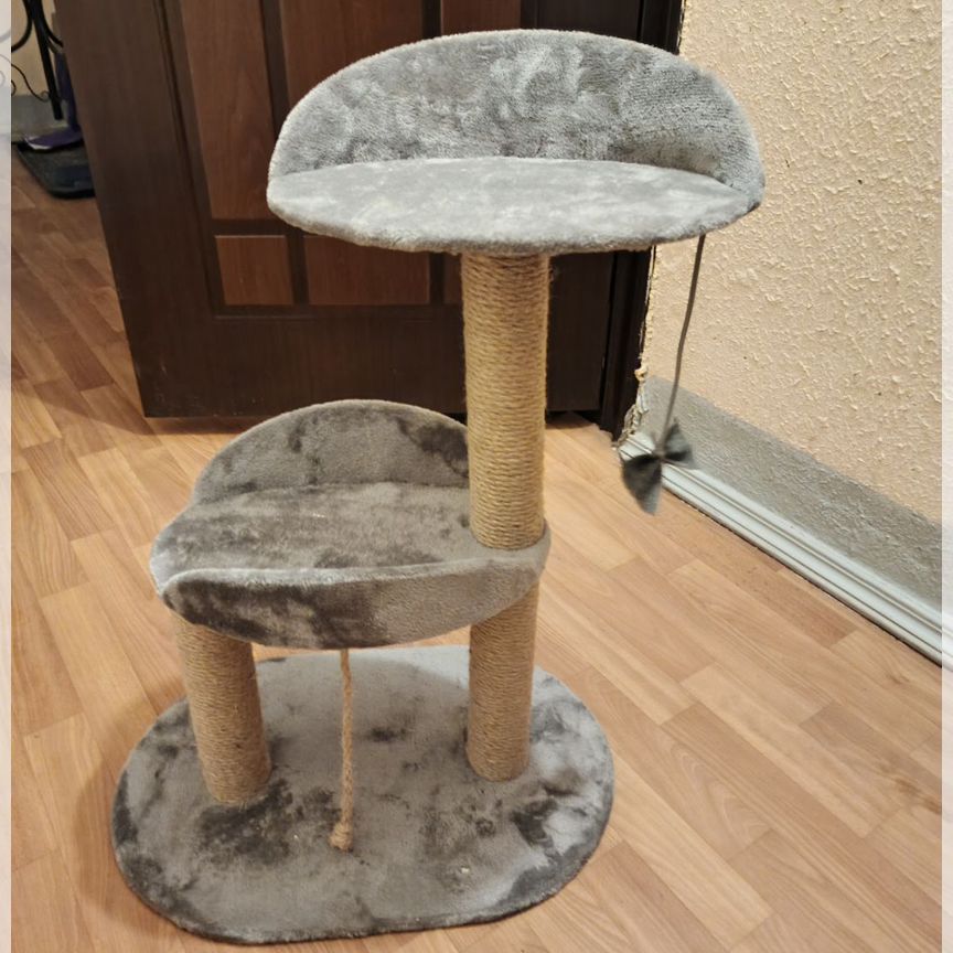 Когтеточка