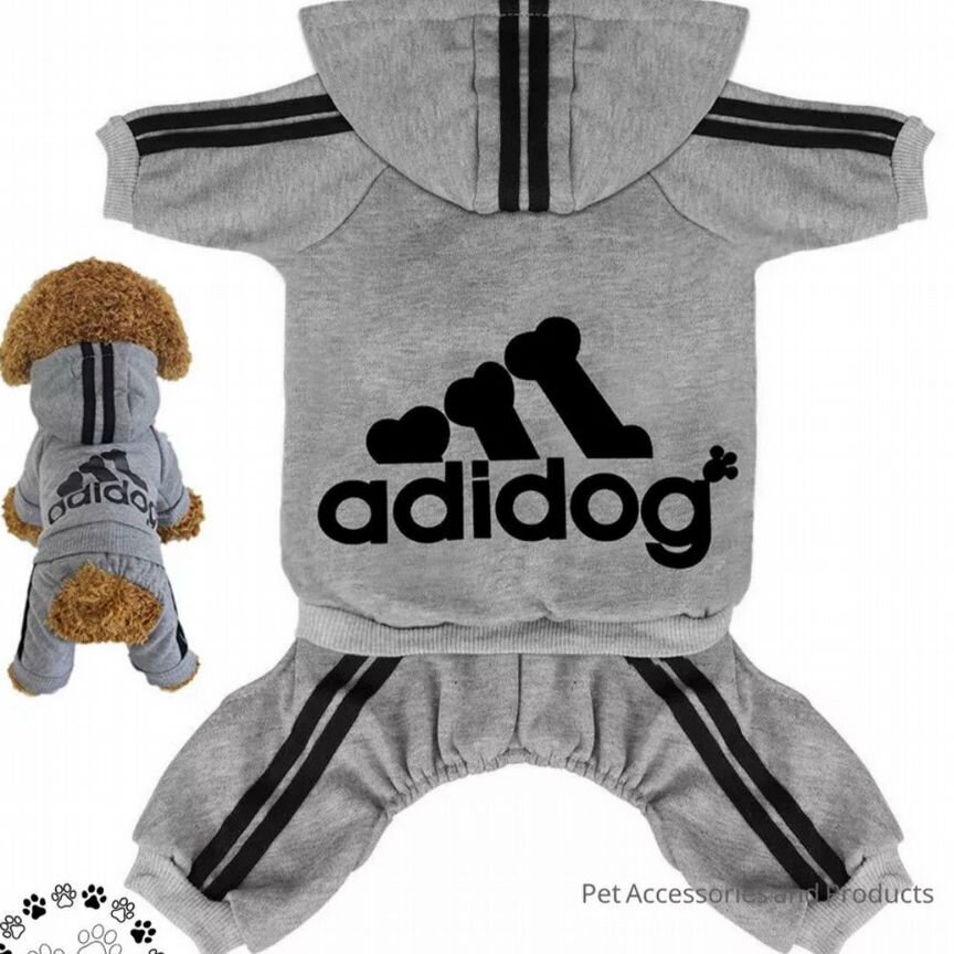 Одежда для собак мелких пород