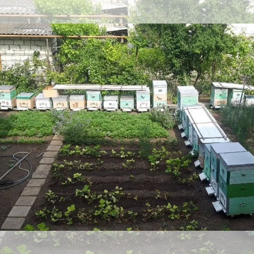 Продам б/у ульи для пчел, корпуса и рамки