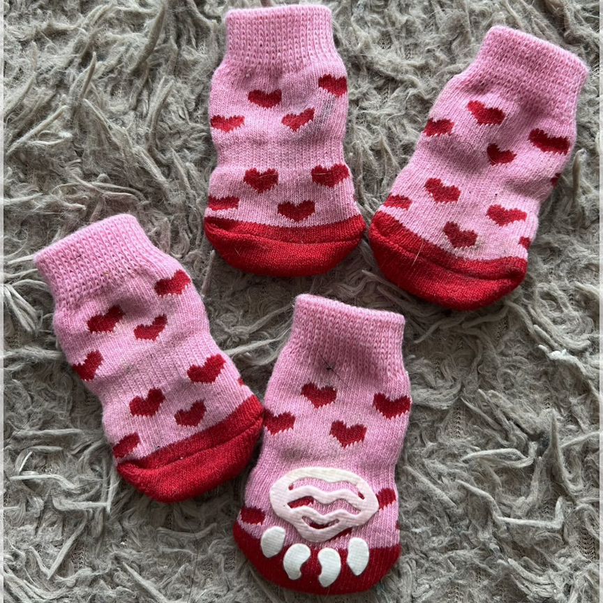 Носочки для собак