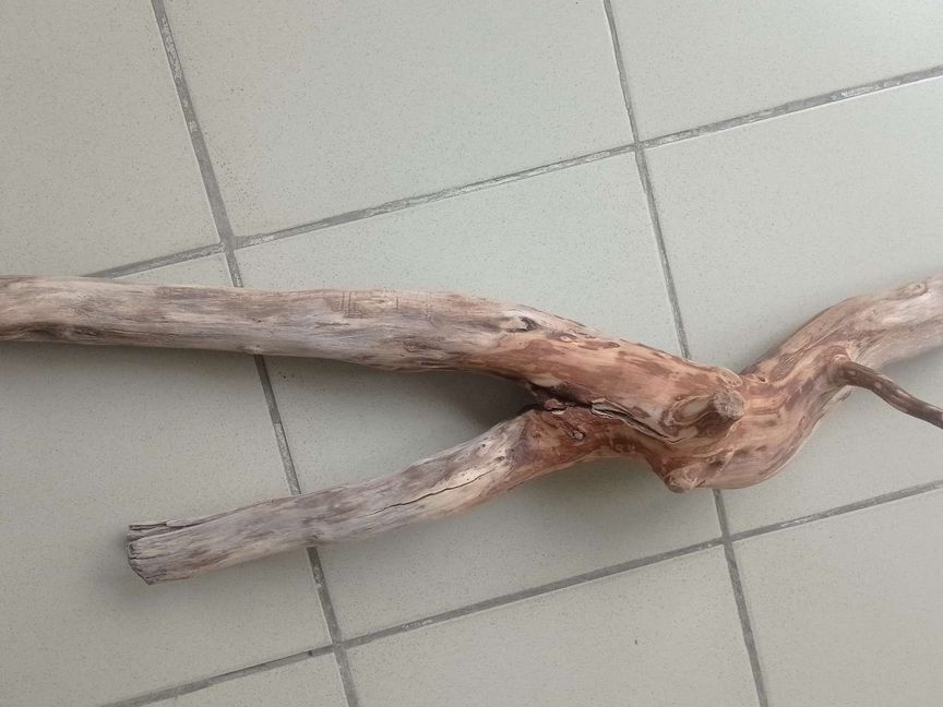 Коряга большая