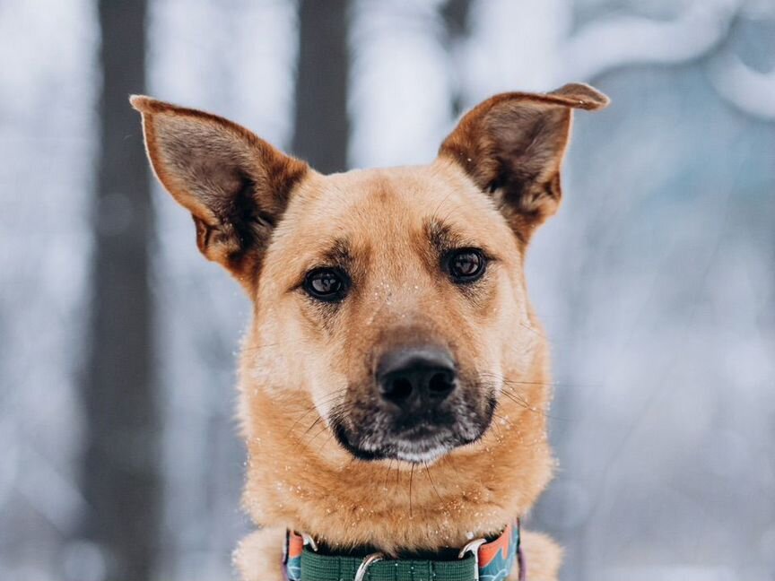 Арамис ждет встречу со своей семьей
