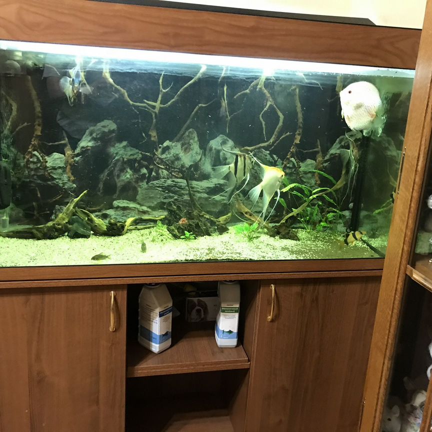 Аквариум с тумбой 300 литров