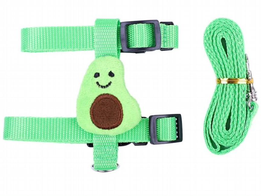 Шлейка для морской свинки