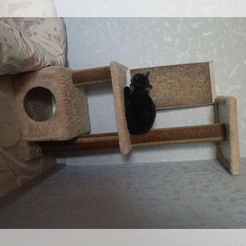 Когтеточка домик для кошки