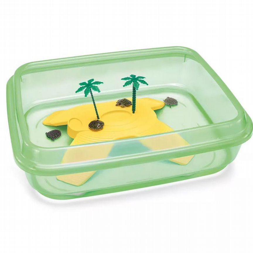 Террариум для черепахи