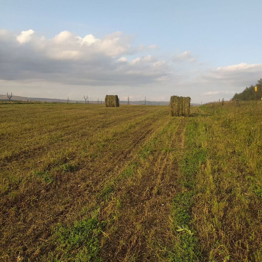 Сено люцерны в рулонах