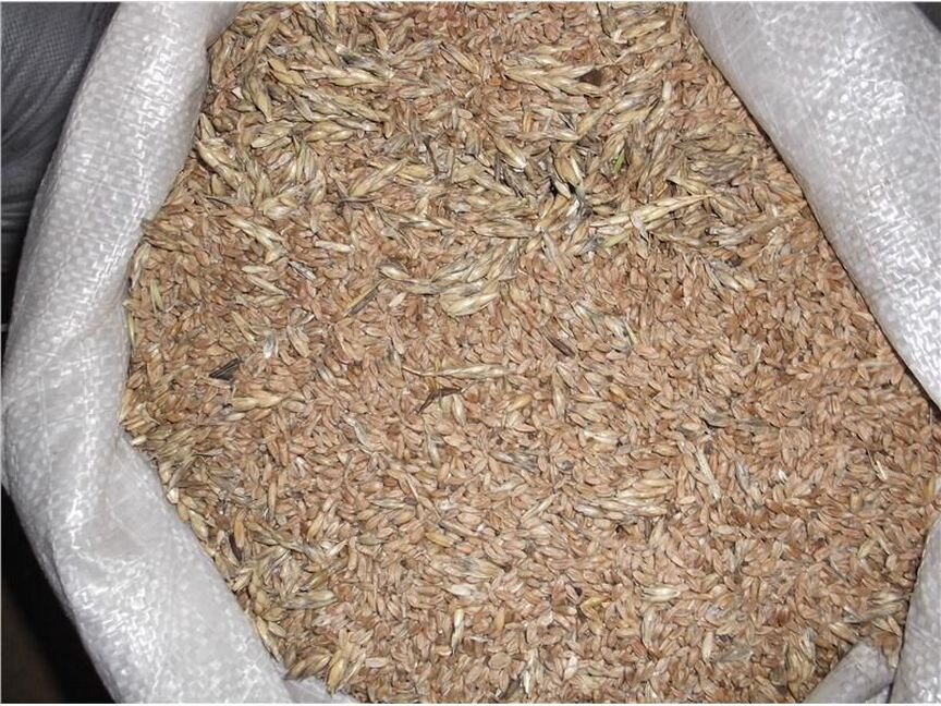 Продам зерноотходы пшеницы