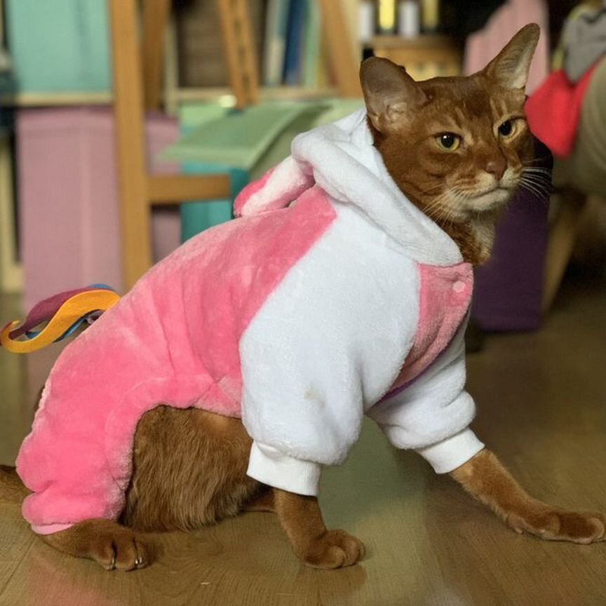 Комбинезон для животных единорог