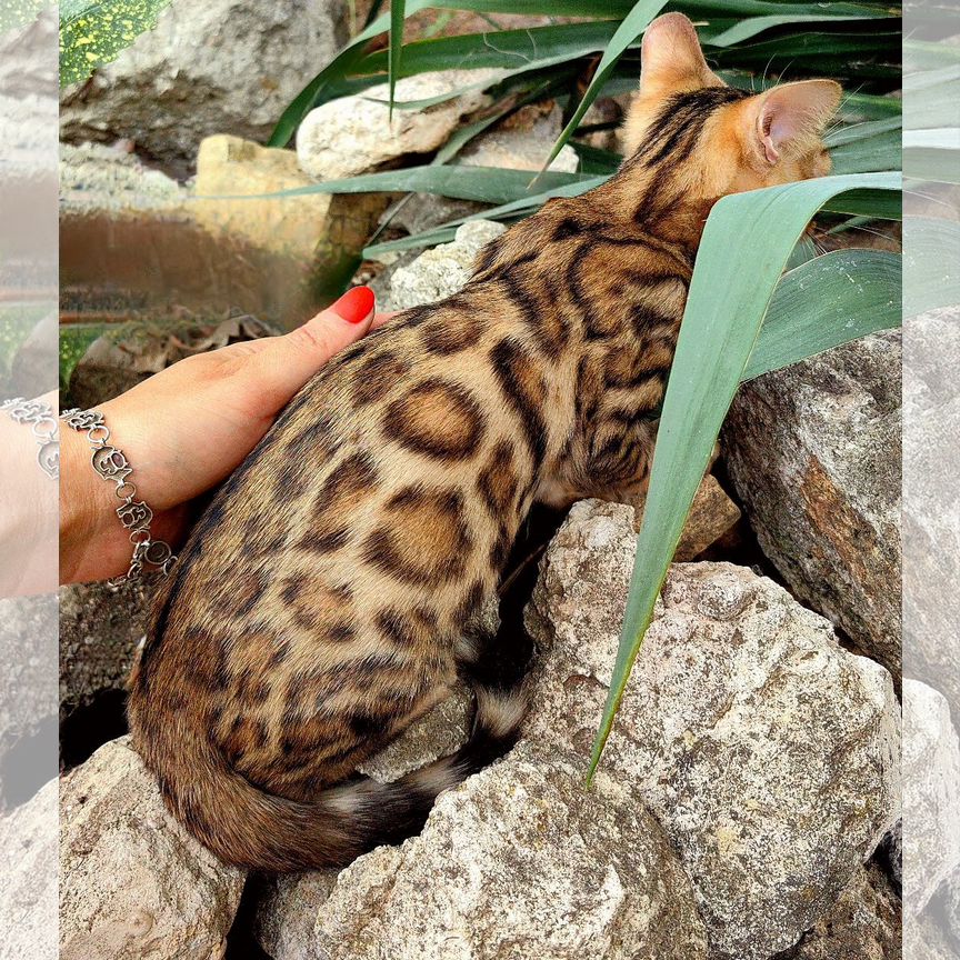 Мальчишка 3 мес с документами