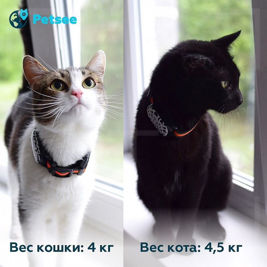 Gps трекер для кошек